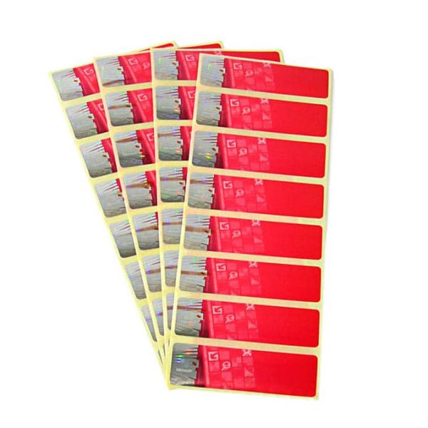 Windows 11 Pro/Home COA Sticker OEM | Pack de 20 Licencias