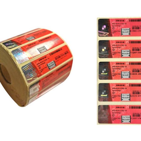 Windows 11 Pro/Home COA Sticker OEM | Pack de 20 Licencias